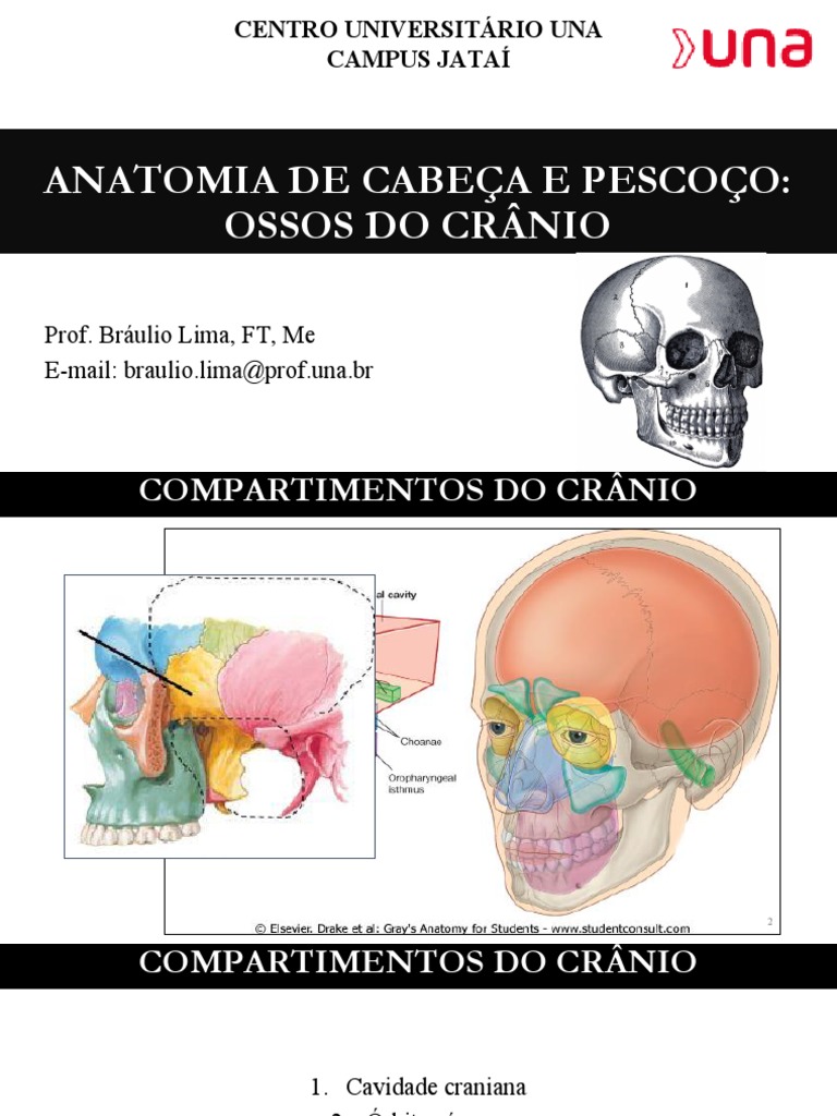Aula 2 - Ossos Do Crânio.1 | PDF | Crânio | Anatomia humana
