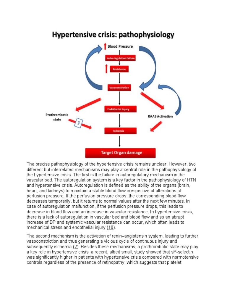 Pathophysiology Of Hypertensive Crisis Pdf Hypertension Blood