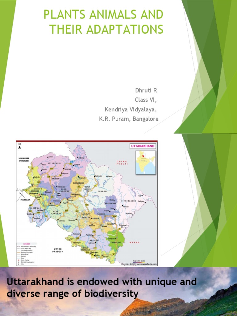 Science MDP Plants Animals and Their Adaptations by Dhruti R | PDF ...