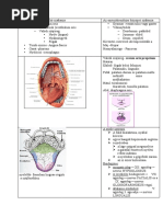 Német Dativ - Vonzatok | PDF