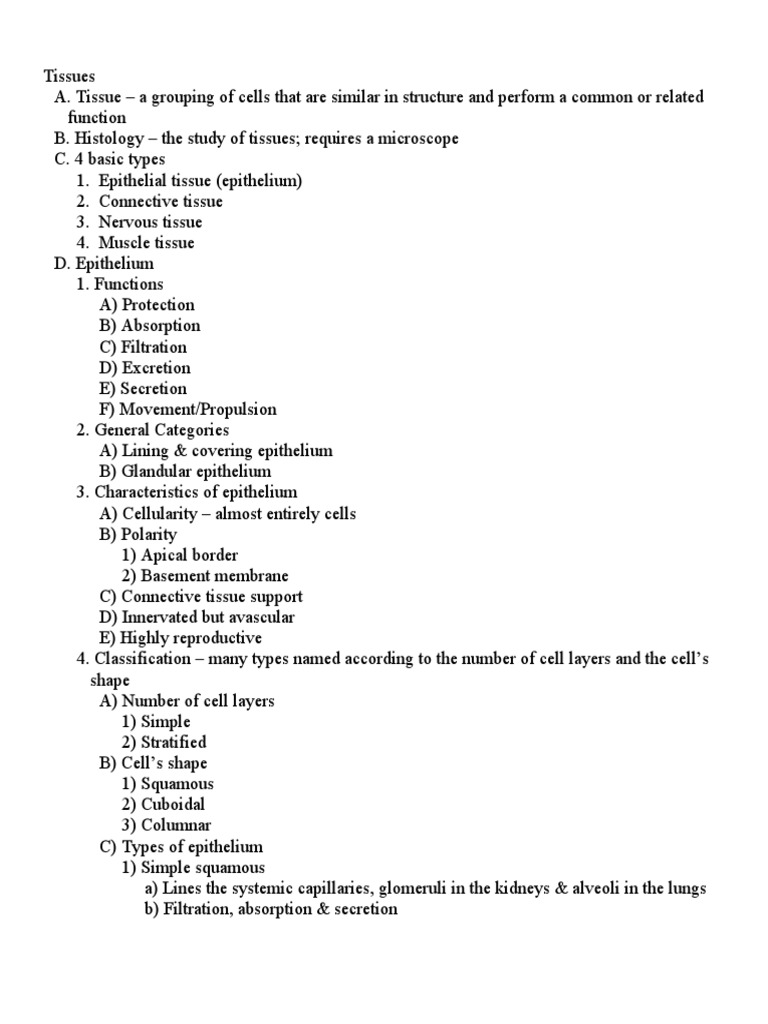 Tissues Notes | PDF | Epithelium | Connective Tissue