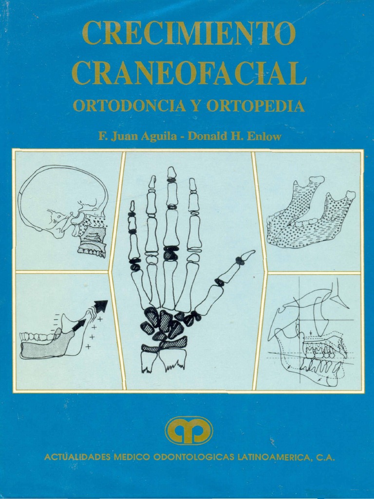 Crecimiento Craneofacial - Ortodoncia y Ortopedia de Águila y Enlow | PDF