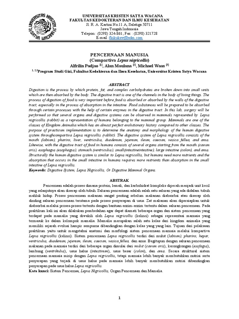 Pencernaan Manusia (Compartiva) : Alfrilin Padjao, Alan Maulana ...