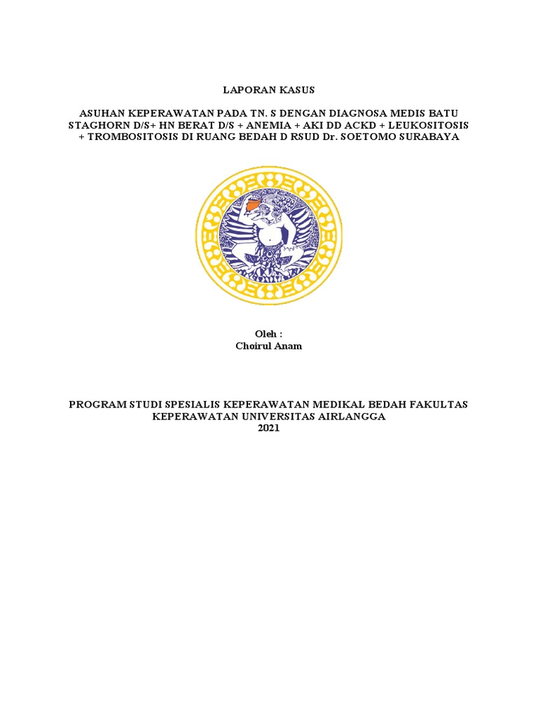 LK Batu Staghorn | PDF