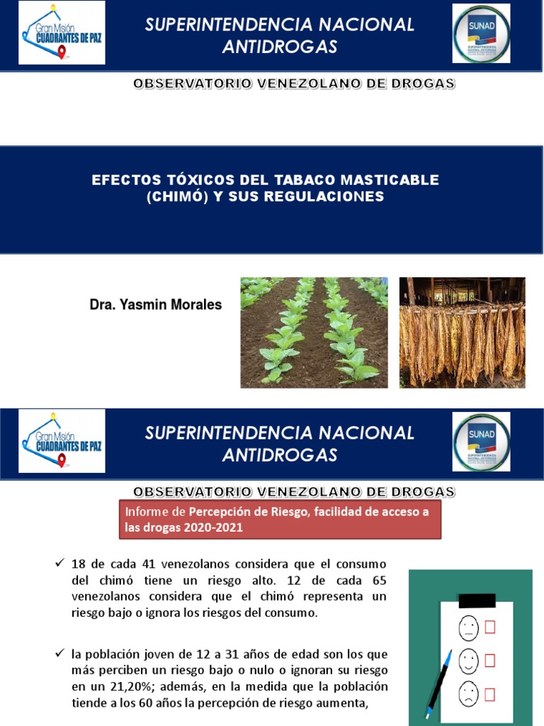 Chimo 2021 | PDF | Publicidad | Cigarrillo