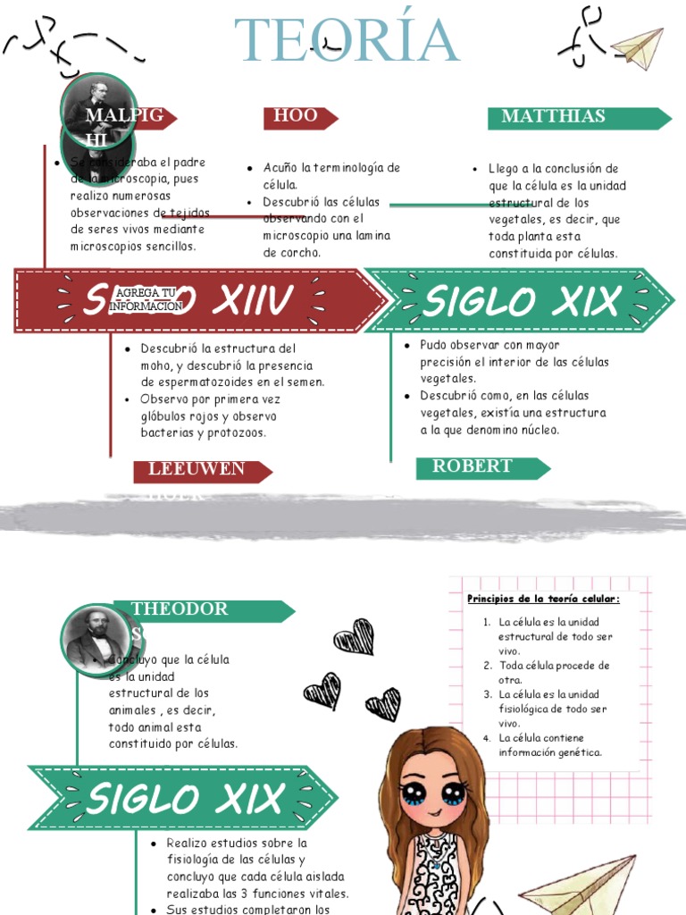 Línea del tiempo de la teoría celular | PDF | Biología Celular ...
