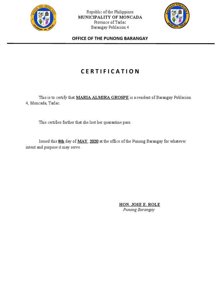 Lost Quarantine Pass | PDF