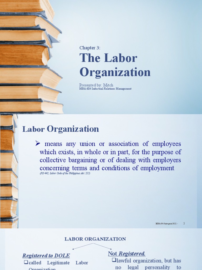 Understanding Labor Organizations | PDF | Trade Union | Collective ...