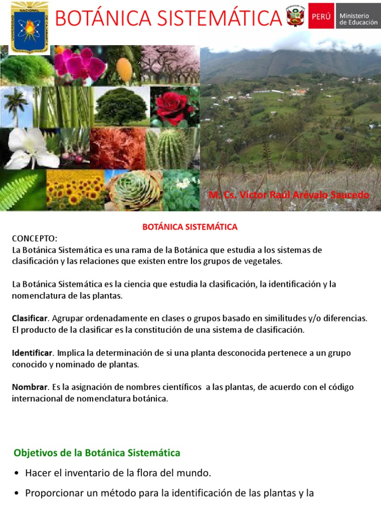Definición y Clasificación de Botánica | PDF | Plantas | Botánica