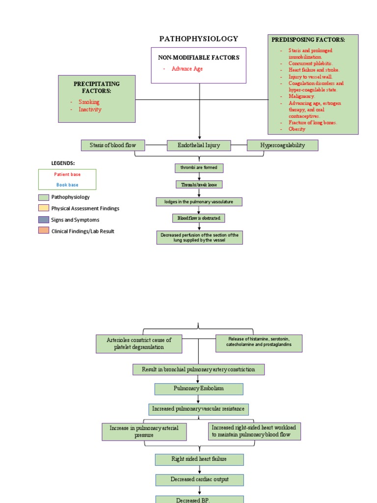 Pathophysiology of Pulmonary Embolism | PDF | Blood Vessel | Lung