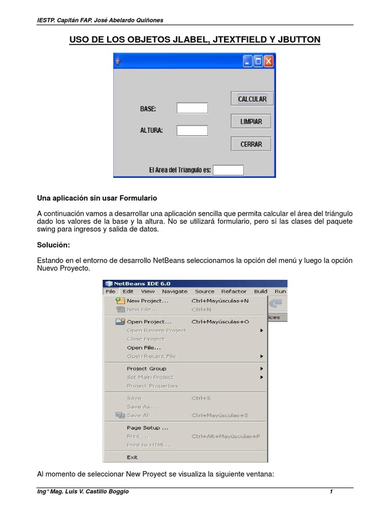 Aplicación Java: Área de Triángulo con Swing | PDF | Java (lenguaje de programación) | Ventana ...