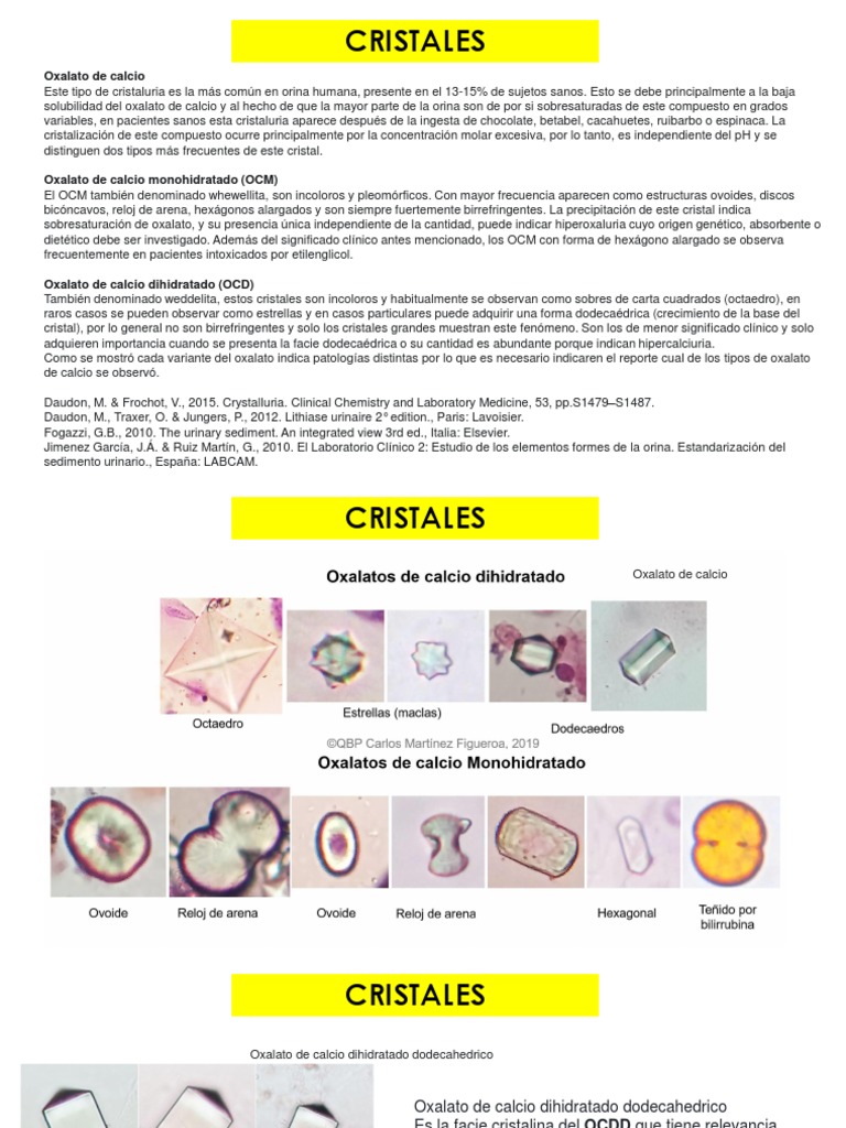 Tipos de cristales de oxalato de calcio | PDF | Calcio | Química