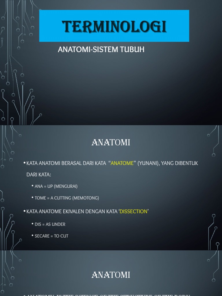 Terminologi Dasar Anatomi Manusia | PDF