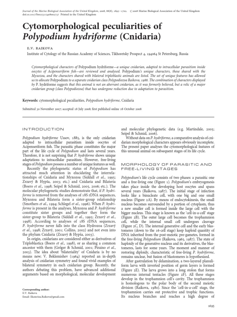 Polypodium Hydriforme | PDF | Cell Biology | Organisms