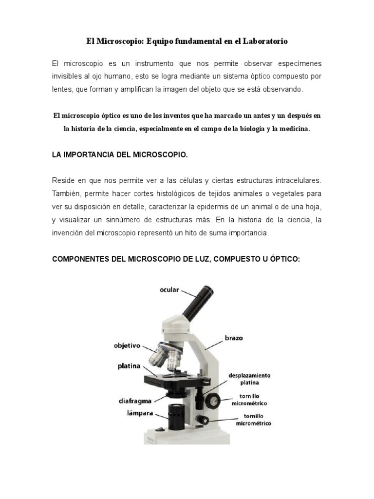 Importancia del Microscopio en Ciencia | PDF | Óptica | Microscopio