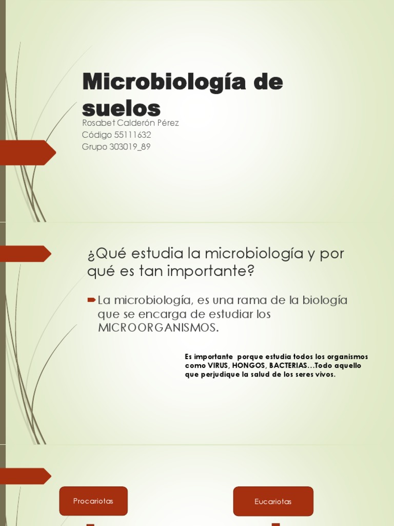 Microbiología de Suelos - Actividad de Reconocimiento | PDF | Microorganismo | Biología Celular)