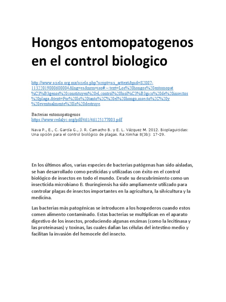 Hongos Entomopatogenos en El Control Biologico | PDF | Insectos ...