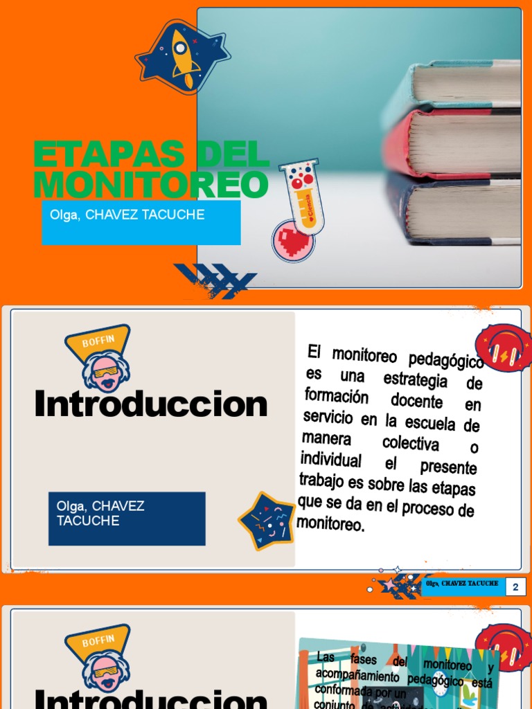 Etapas Del Monitoreo | PDF | Maestros | Aprendiendo estilos