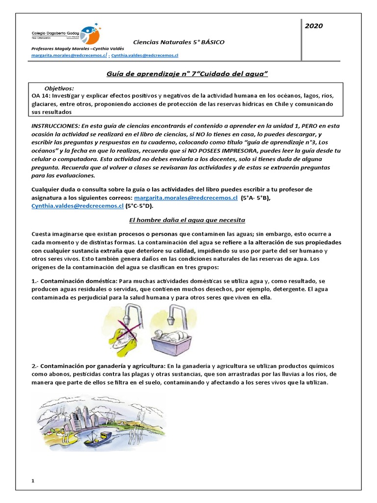 Cs. Naturales 5° Básico Guía de Aprendizaje N°7 Cuidado Del Agua | PDF ...