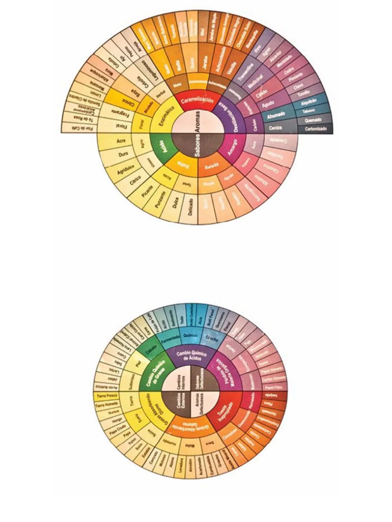 Tabla de Sabores Español | PDF