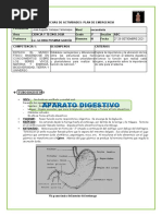 Aparato Digestivo de Las Aves | PDF | Sistema digestivo humano | Estómago