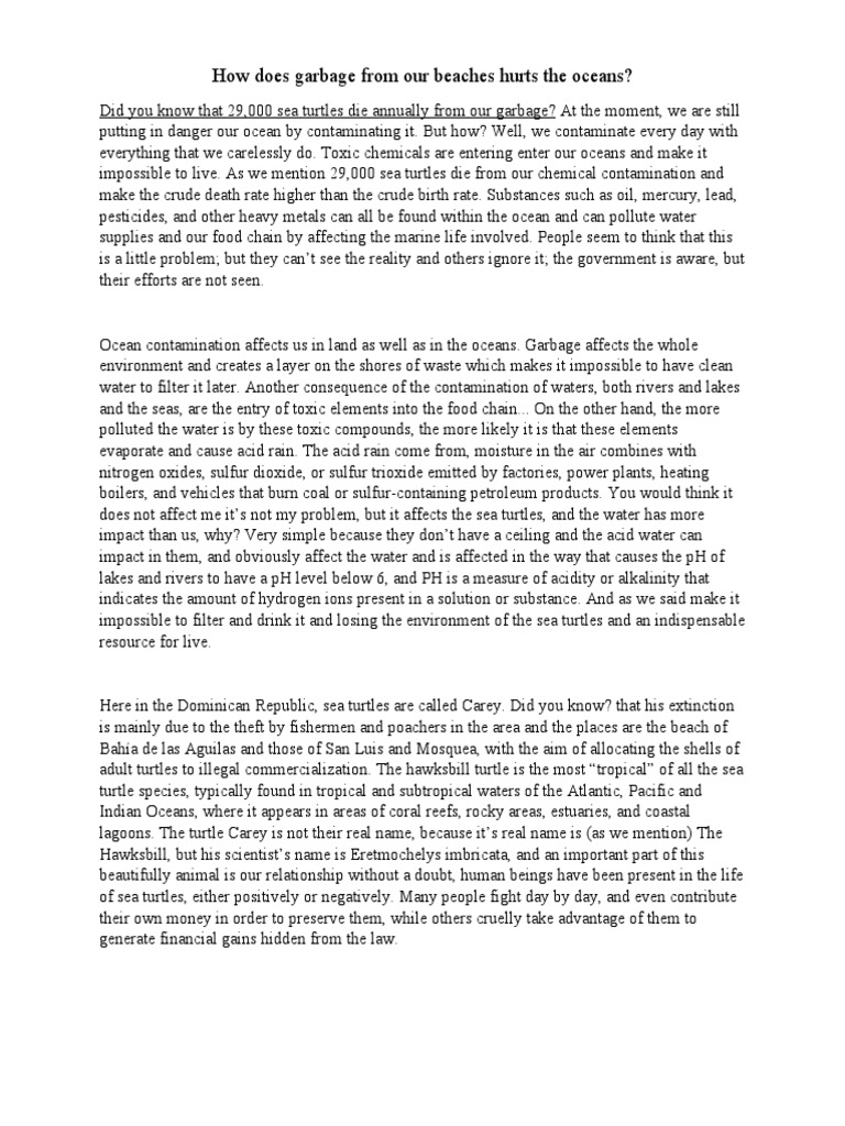 Essay Sea Turtles | PDF | Sea | Petroleum