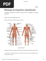 Roteiro 3 - Região Glútea | PDF | Anatomia dos membros inferiores ...