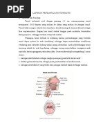 LP AsKep Tonsilitis | PDF