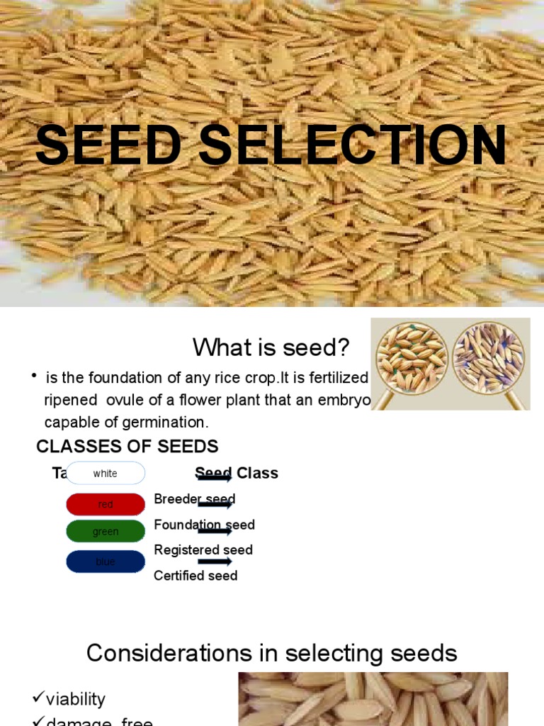 Seed Selection | PDF