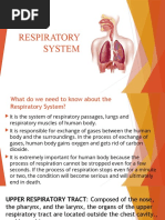 Respiratory System - Answer Key | PDF | Respiratory Tract | Lung