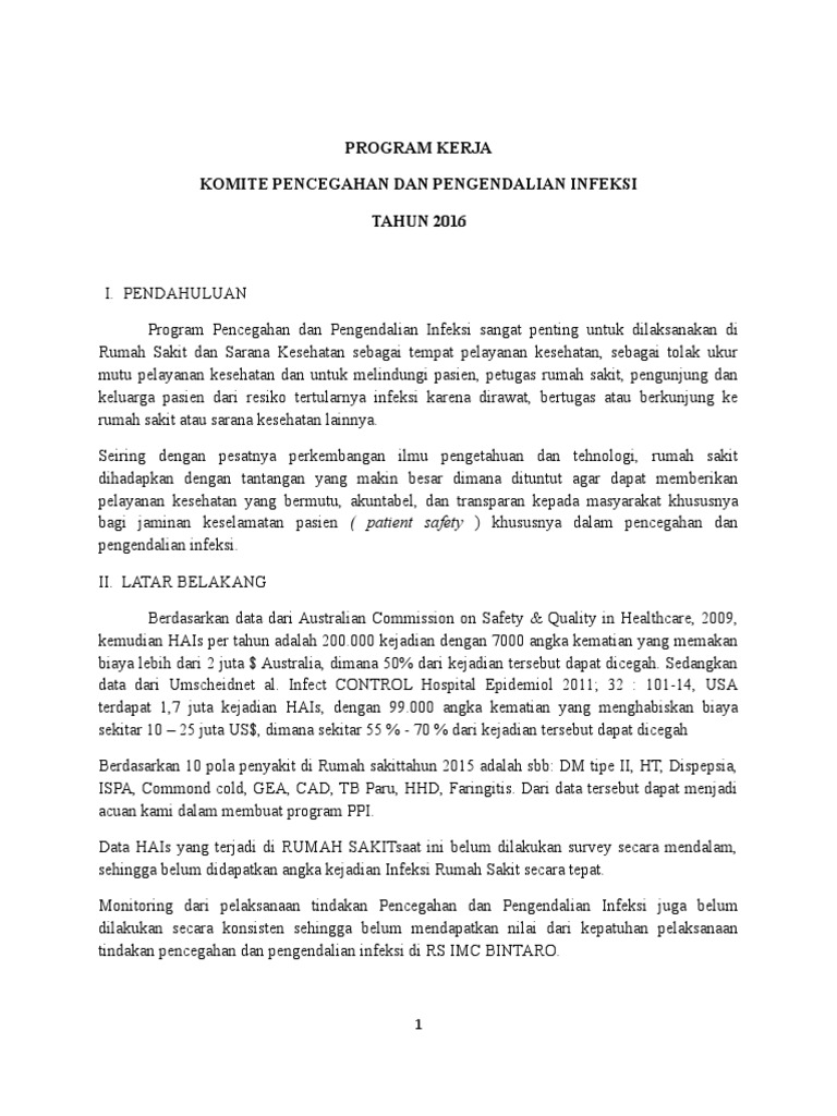 Program Kerja Ppi | PDF