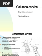 Foramen Ciego: Fosa Craneal Anterior | PDF | Sistema esquelético ...
