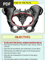 6 - Pelvic Rocking Exercises | PDF | Pelvis | Abdomen