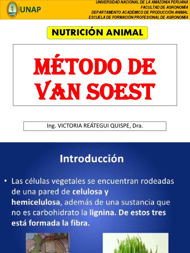6 Método de Van Soest | PDF