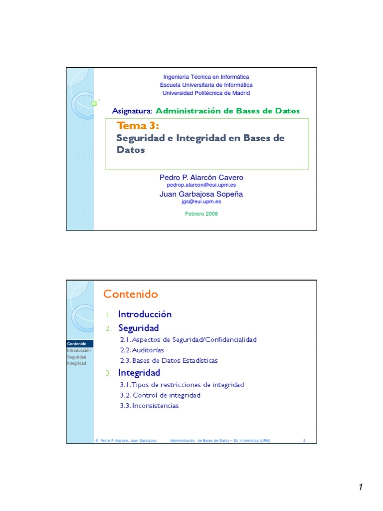 Seguridad e Integridad en Bases de Datos | PDF | SQL | Informática