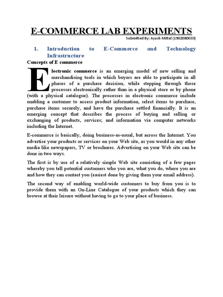 E-Commerce Assignment Shopify | PDF | E Commerce | Computer Access Control