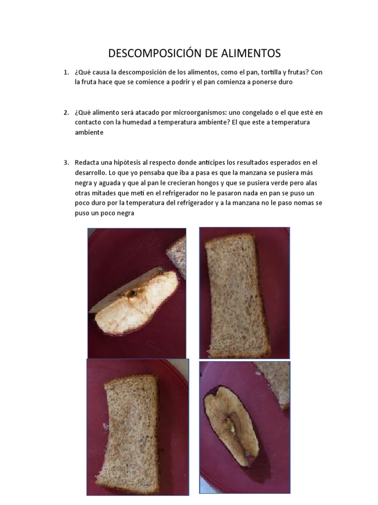Descomposición de Alimentos | PDF