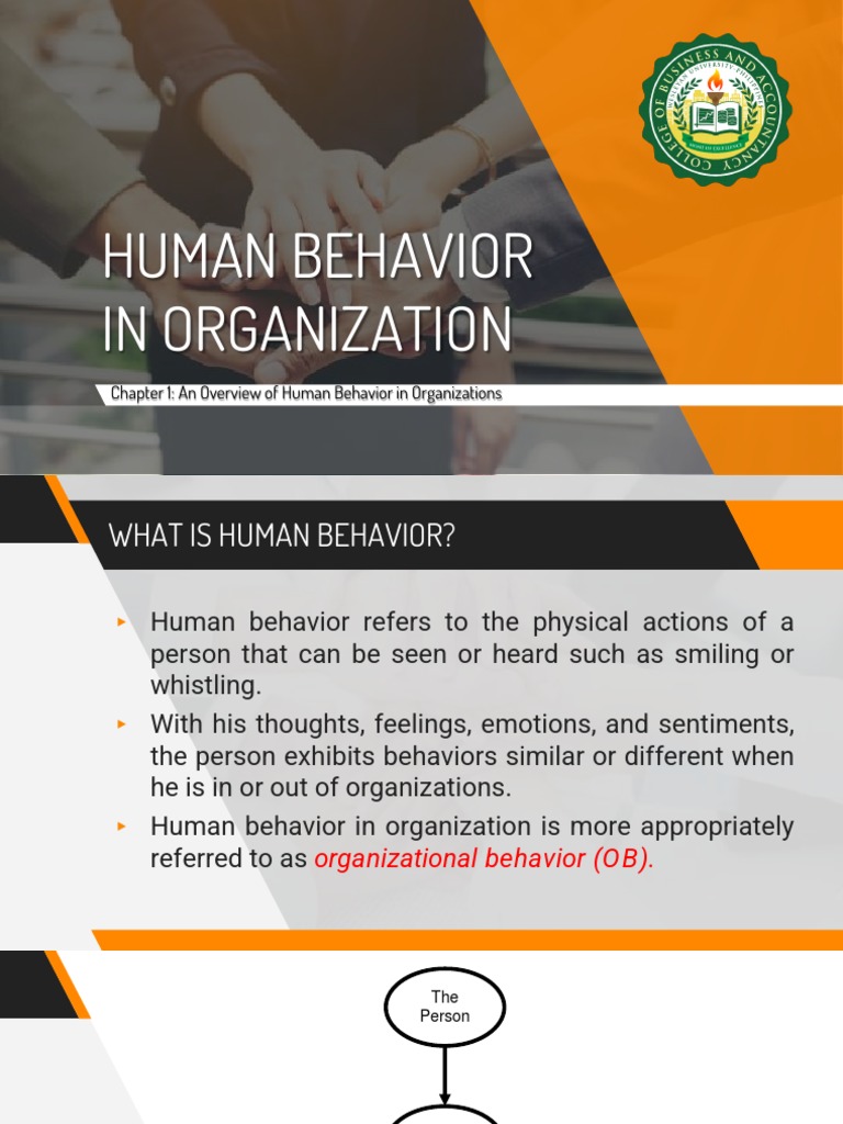 Overview of Human Behavior in Organizations | PDF | Organizational ...