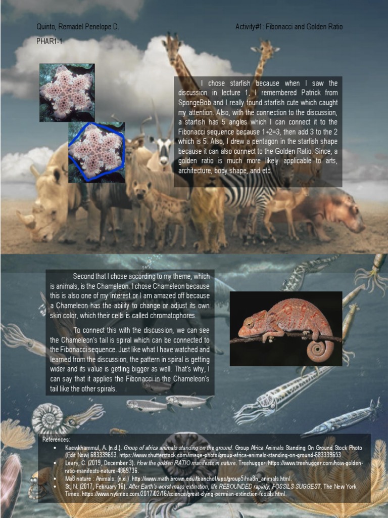 Fibonacci Sequence In Animals