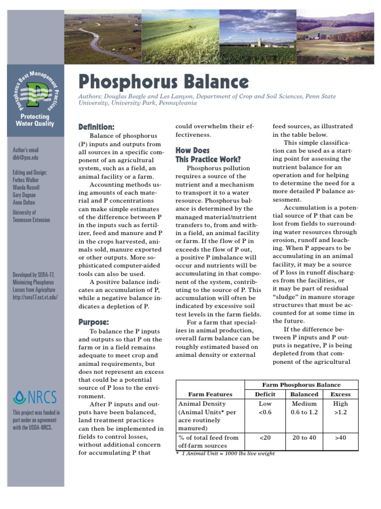 BMP Phosphorus Balance | PDF | Farms | Phosphorus