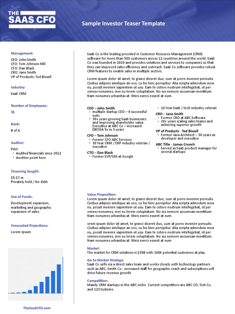 Sample Investor Teaser Template: Management | PDF | Customer ...
