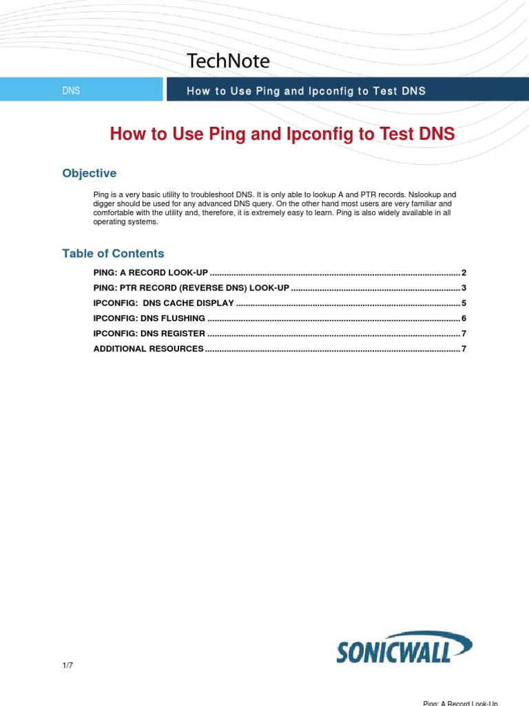 Testing DNS with Ping and Ipconfig | PDF | Information Technology ...