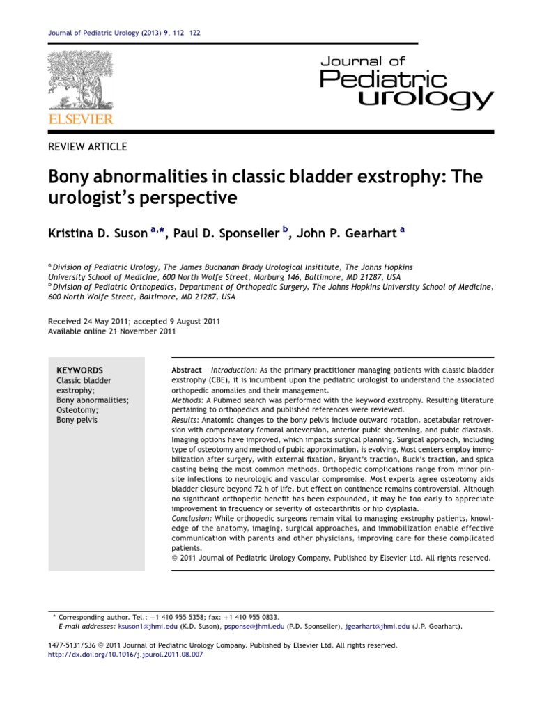 Bony Abnormalities in Classic Bladder Exstrophy - The Urologist's ...