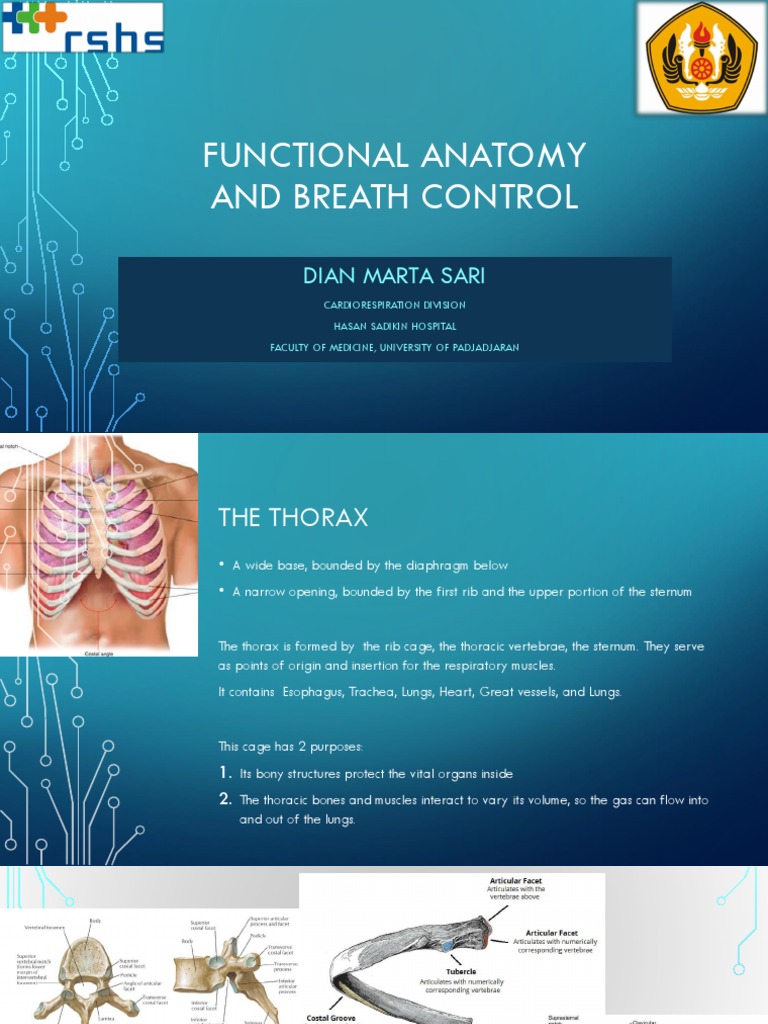Functional Anatomy and Control of Breathing | PDF | Thorax | Breathing
