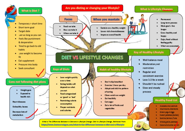 Graphic Organiser | PDF | Foods | Diet & Nutrition