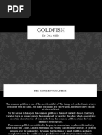 Scribd Test Text | PDF