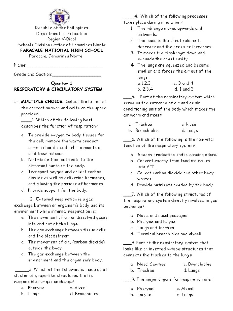 Understanding Respiratory and Circulatory Systems: A Comprehensive ...