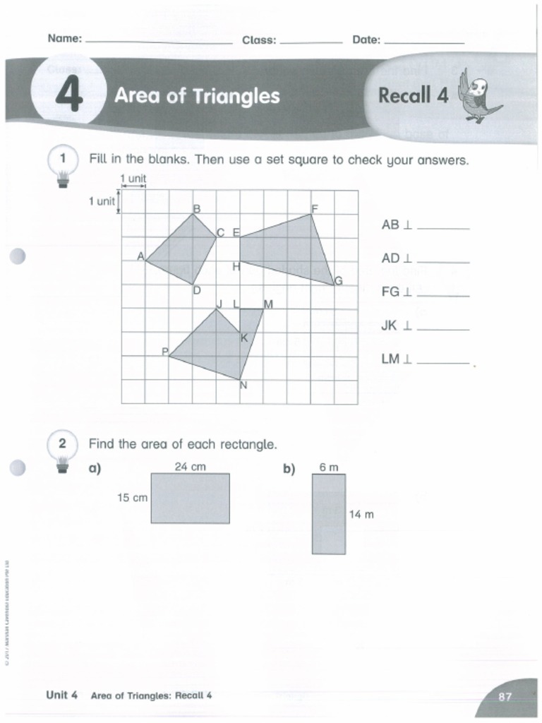 P5 Area of Triangle | PDF