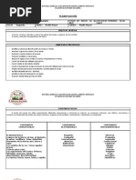 Programa Anual Pre-Kinder 2024 | PDF | Ritmo | Adultos