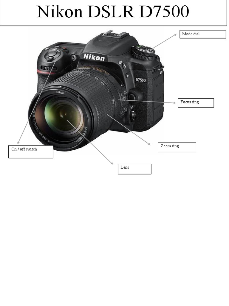 Nikon DSLR d7500 Labelling | PDF